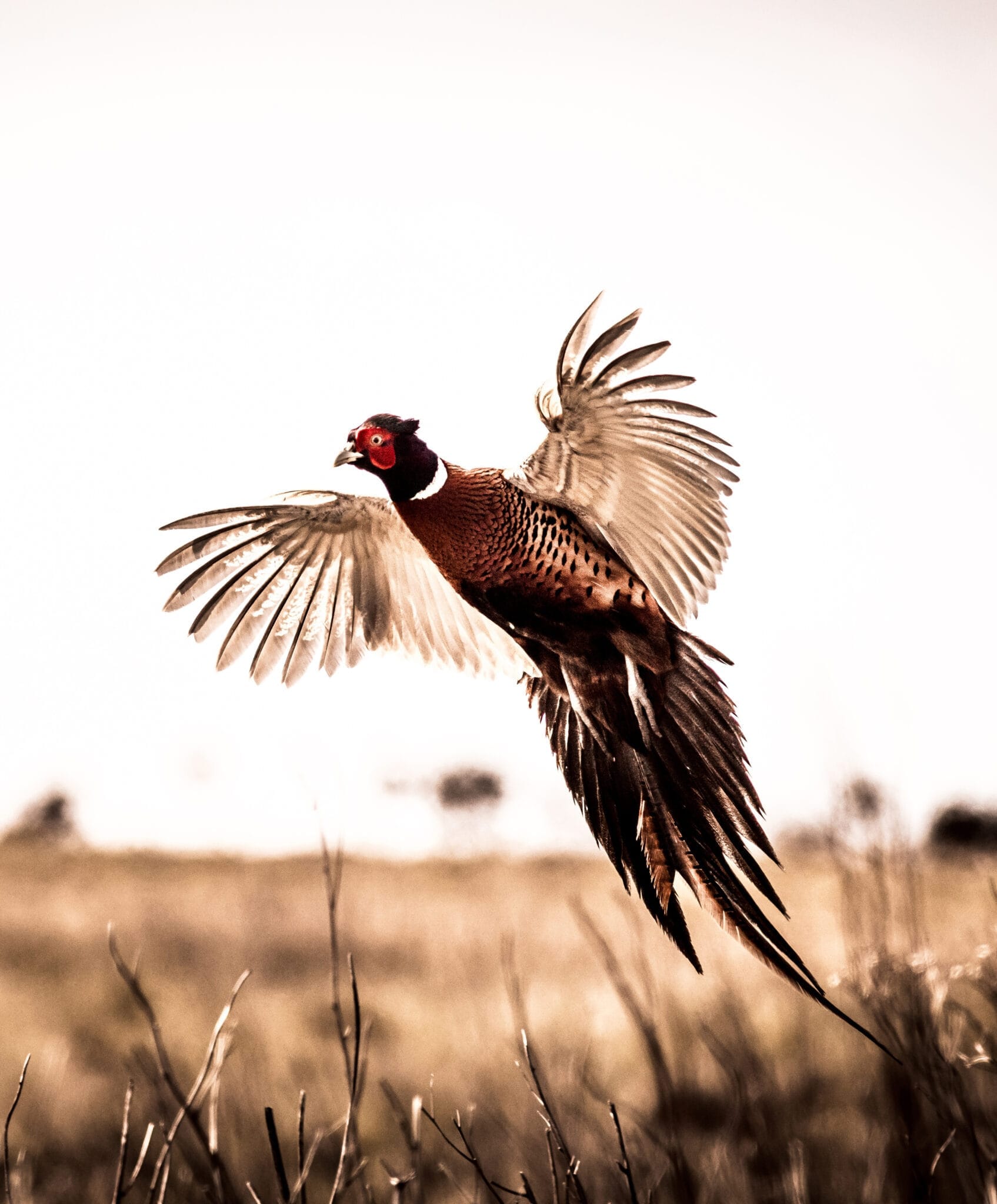 A Chronicle Of Small Things: The History Of Timble - The Timble Inn