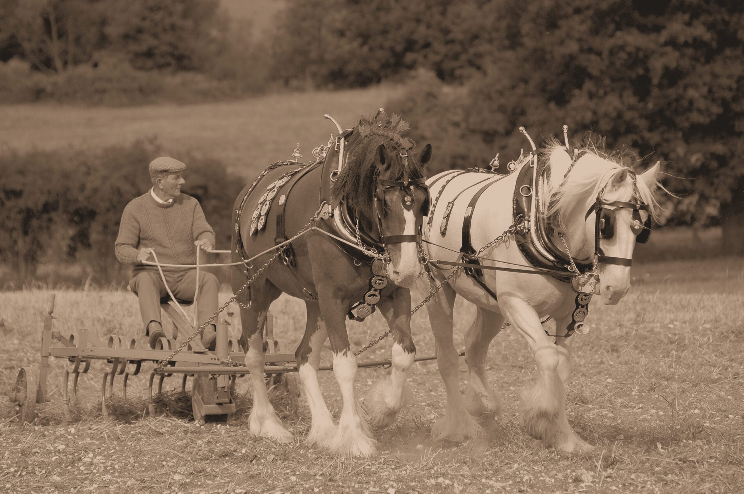 A Chronicle Of Small Things: The History Of Timble - The Timble Inn